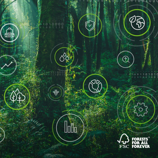 Prove sustainability progress: How to avoid greenwashing concerns with forest impact data | fsc.org